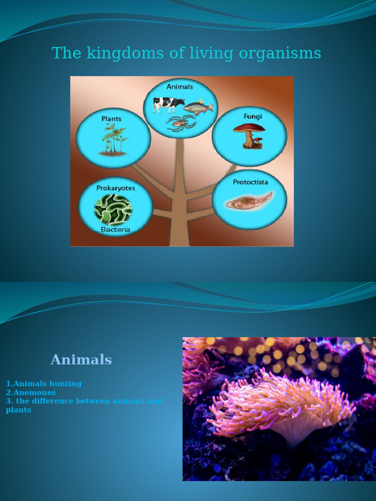 The Kingdoms of Living Organisms | PDF