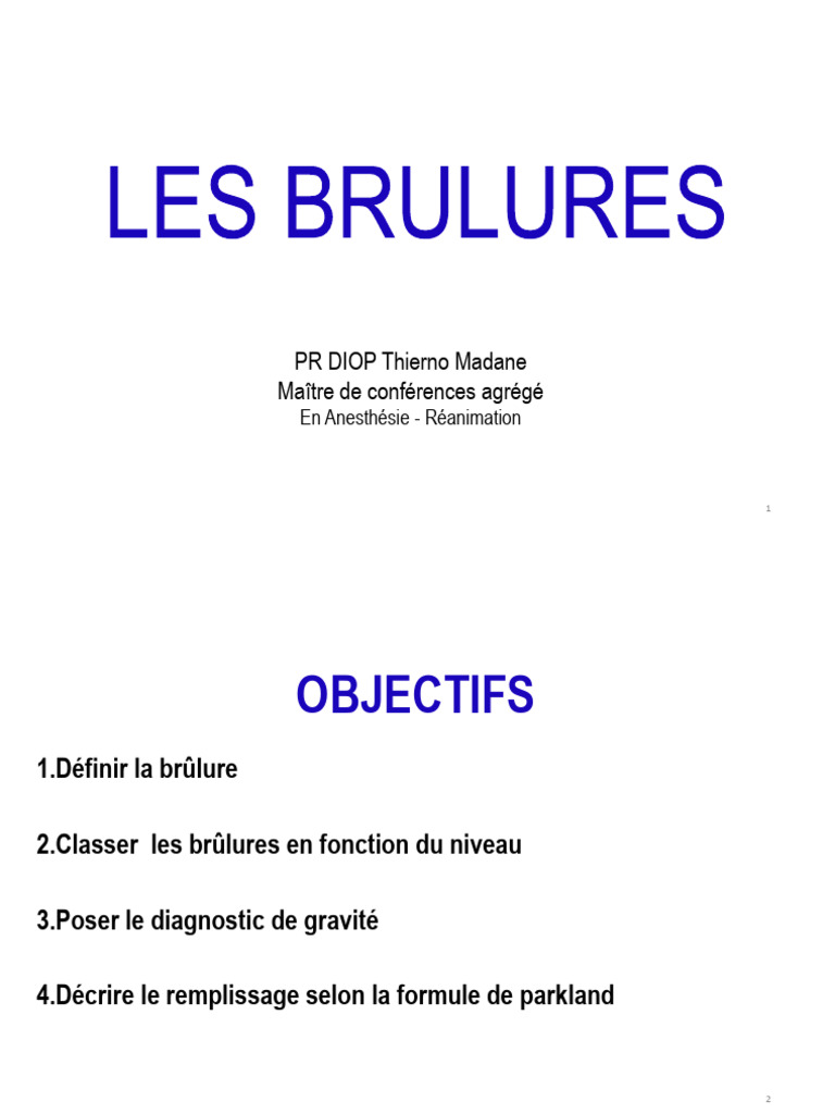 Les Brulures | PDF