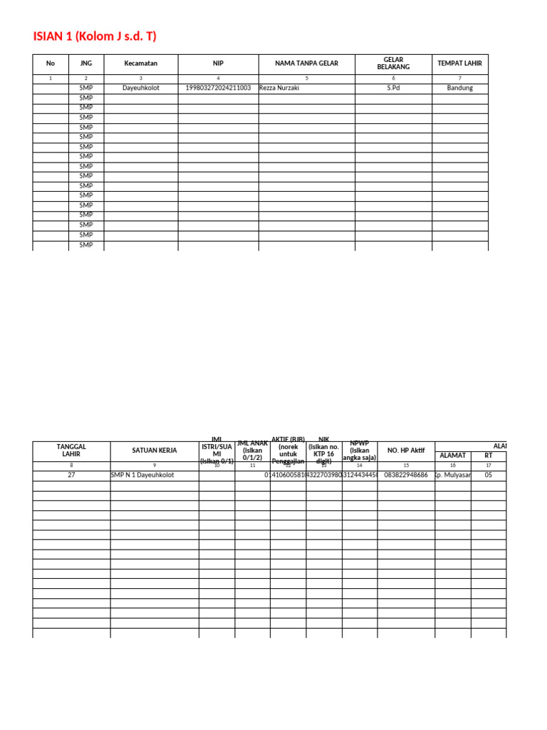 Form.Isian P3K 11 | PDF