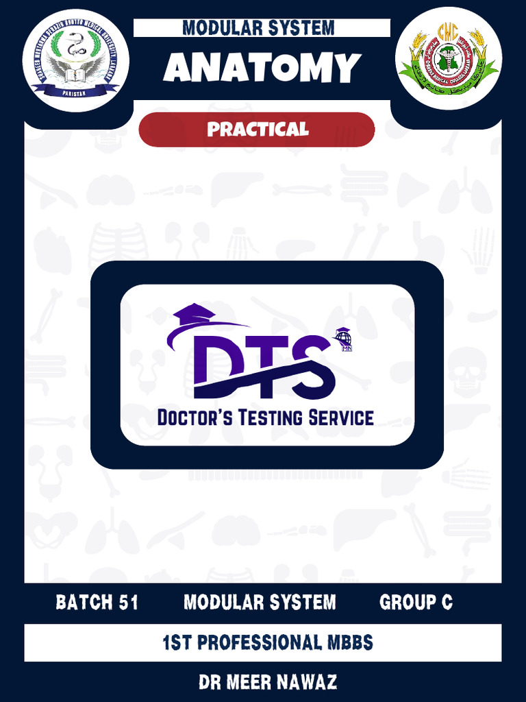 Modular System Anatomy Practical by CMC Batch 51 | PDF