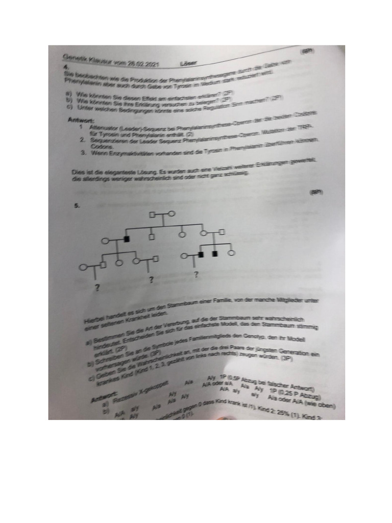 Musterl Sung Genetik EK 2021 | PDF
