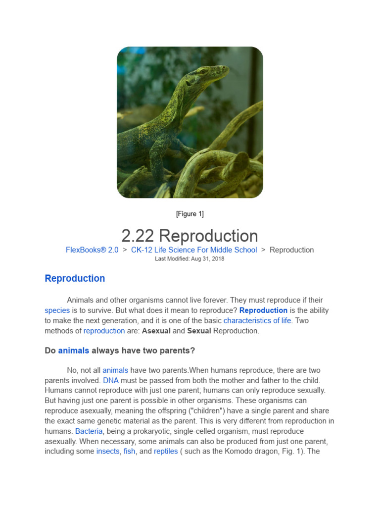 Reproduction Strategies | PDF