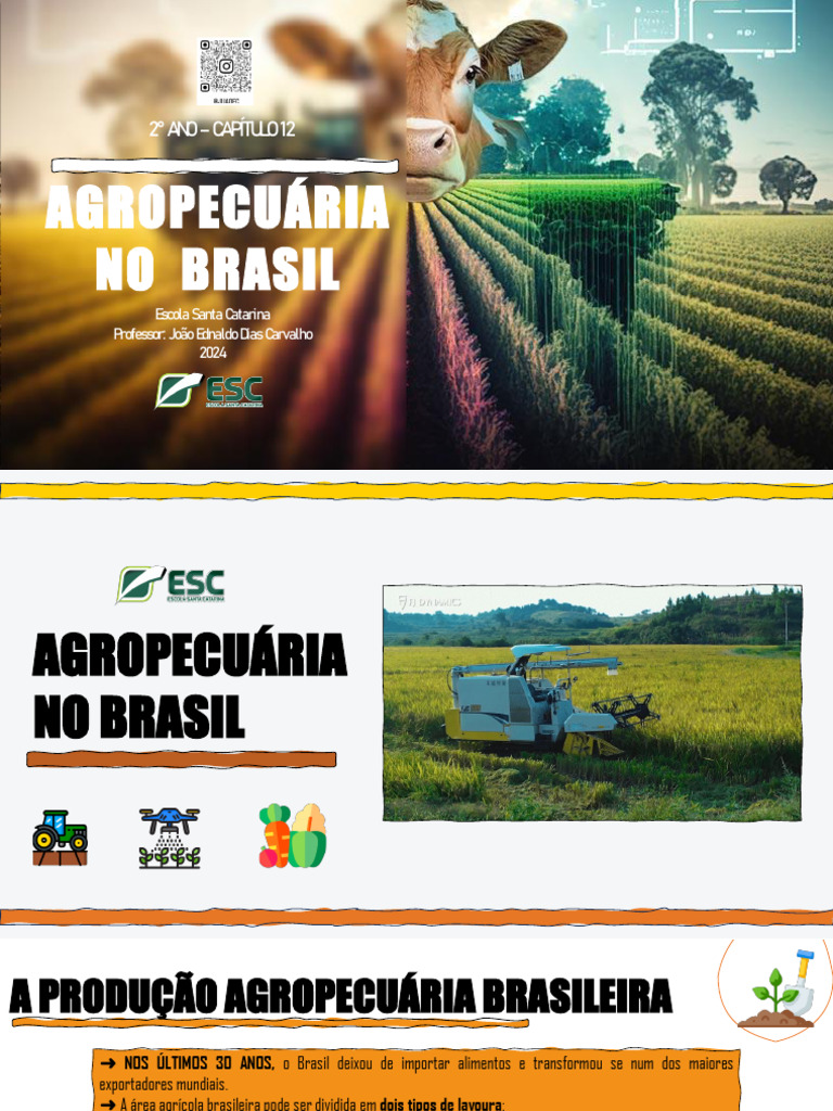 2º Ano - Capítulo 12 - Agropecuária No Brasil | PDF
