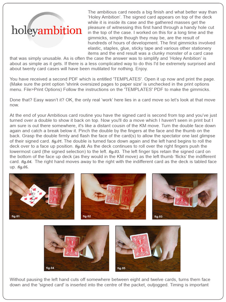 David Forrest - Holey Ambition | PDF