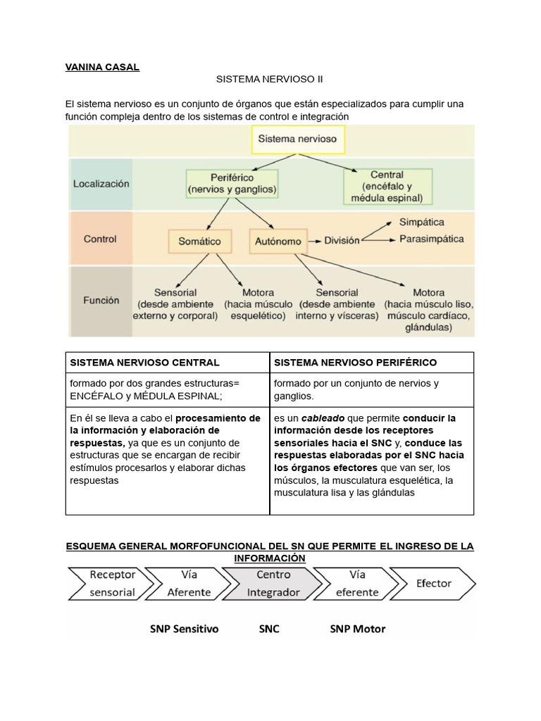 Resumen Biología U6 | PDF