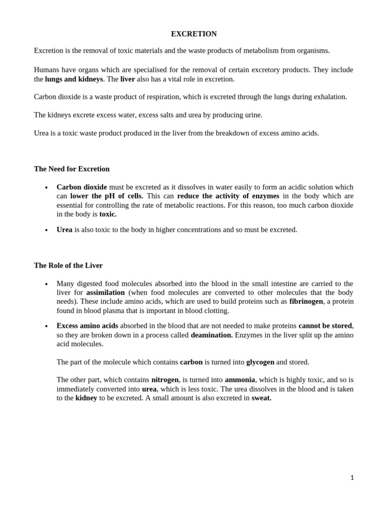 Chapt 13 - Excretion | PDF