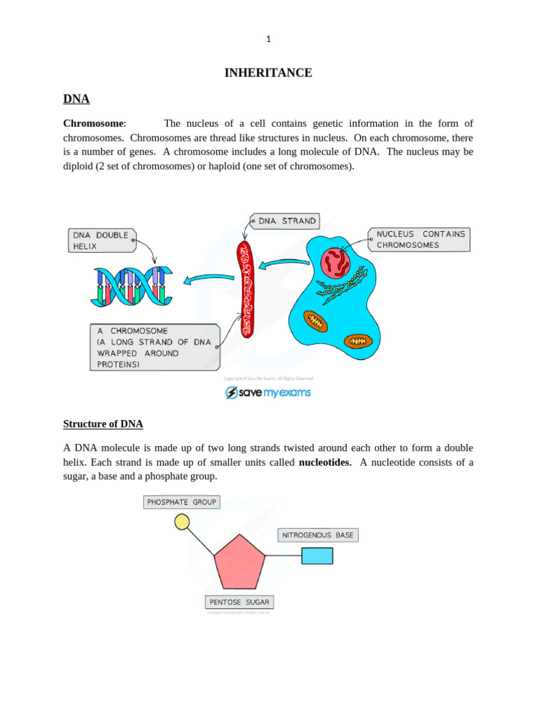 Chapt 17 Inheritance Pdf