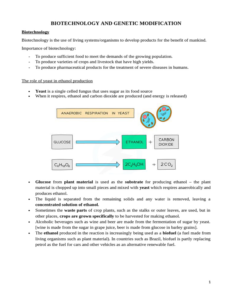 Chapt 18 - Biotechnology and Genetic Modification | PDF