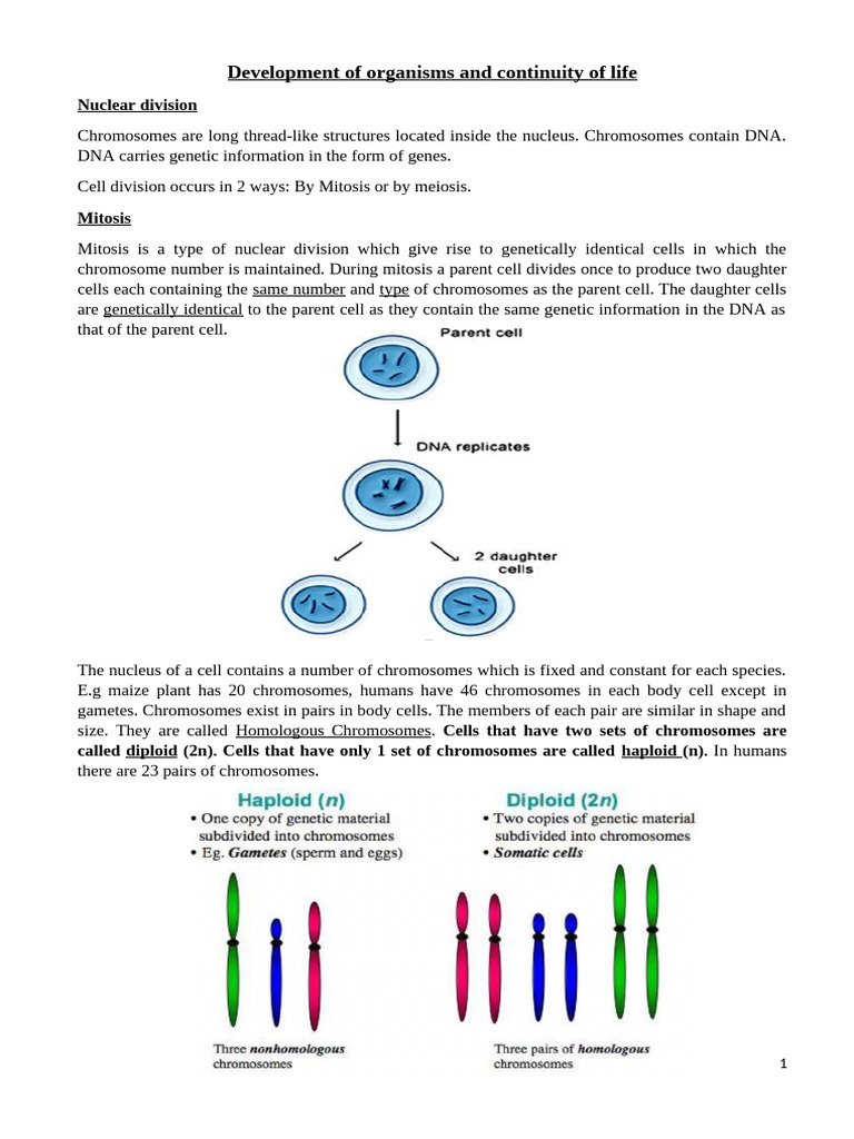 Chapt 16 - Continuity of Life - Nuclear Division and Reproduction in ...