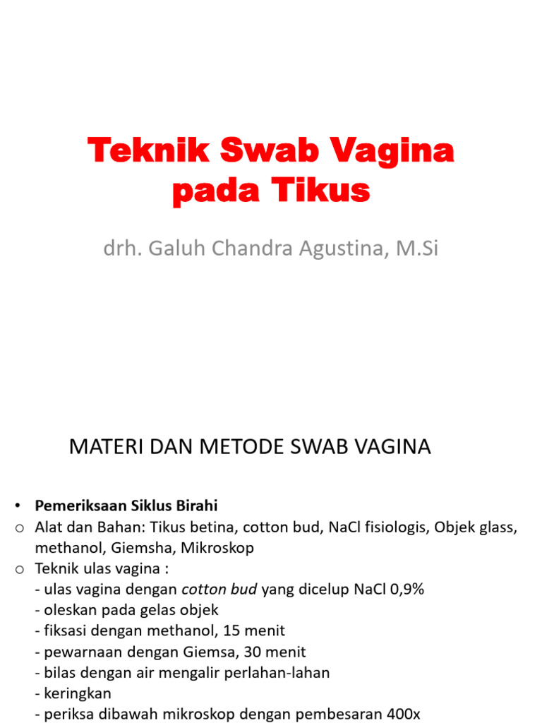 Teknik Swab Vagina Pada Tikus | PDF