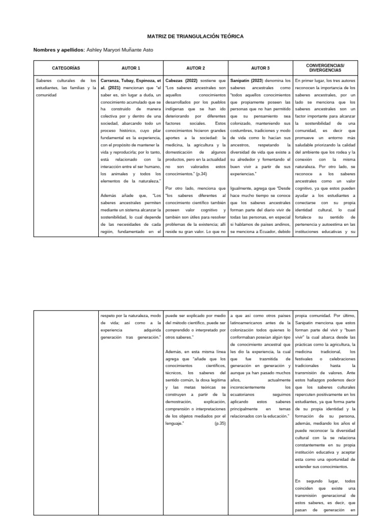 MATRIZ DE CONCEPTOS (1) | PDF