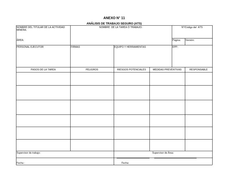 Anexo 11 | PDF