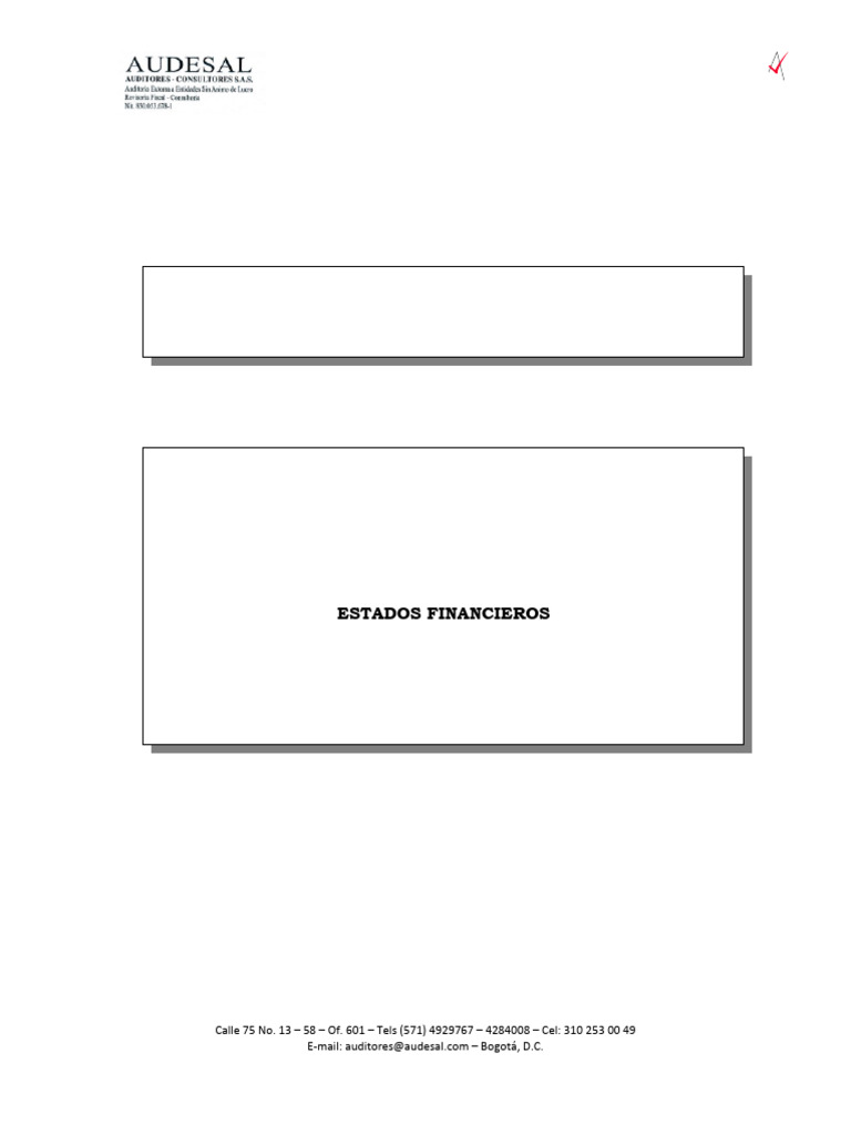 EEFF CAI 2019 Auditados | PDF