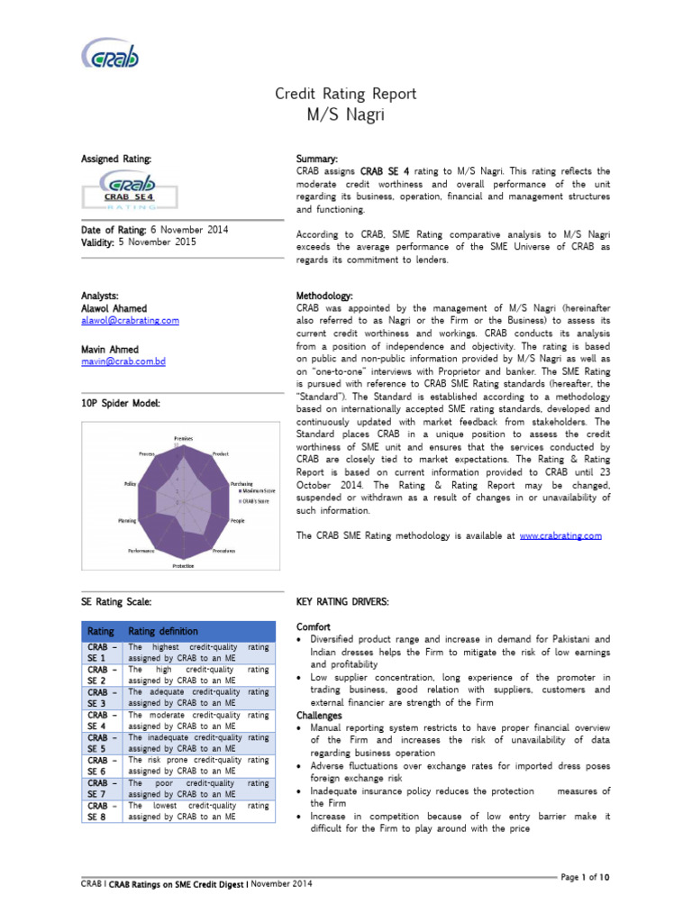 Credit Rating Report | PDF