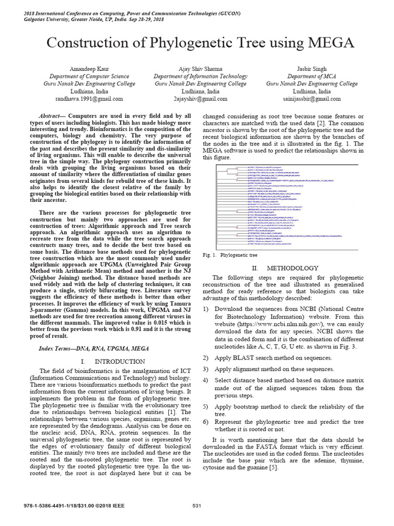 Construction of Phylogenetic Tree Using MEGA | PDF