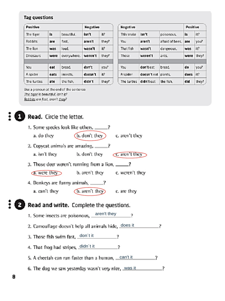HOMEWORK-Tag questions | PDF