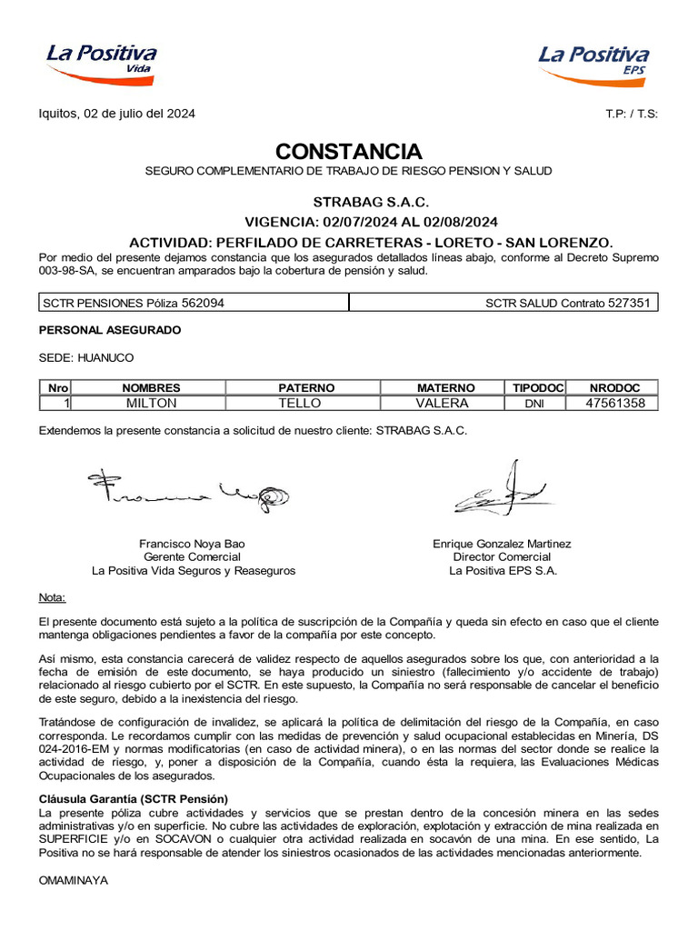 SCTR Pensiones y Salud | PDF