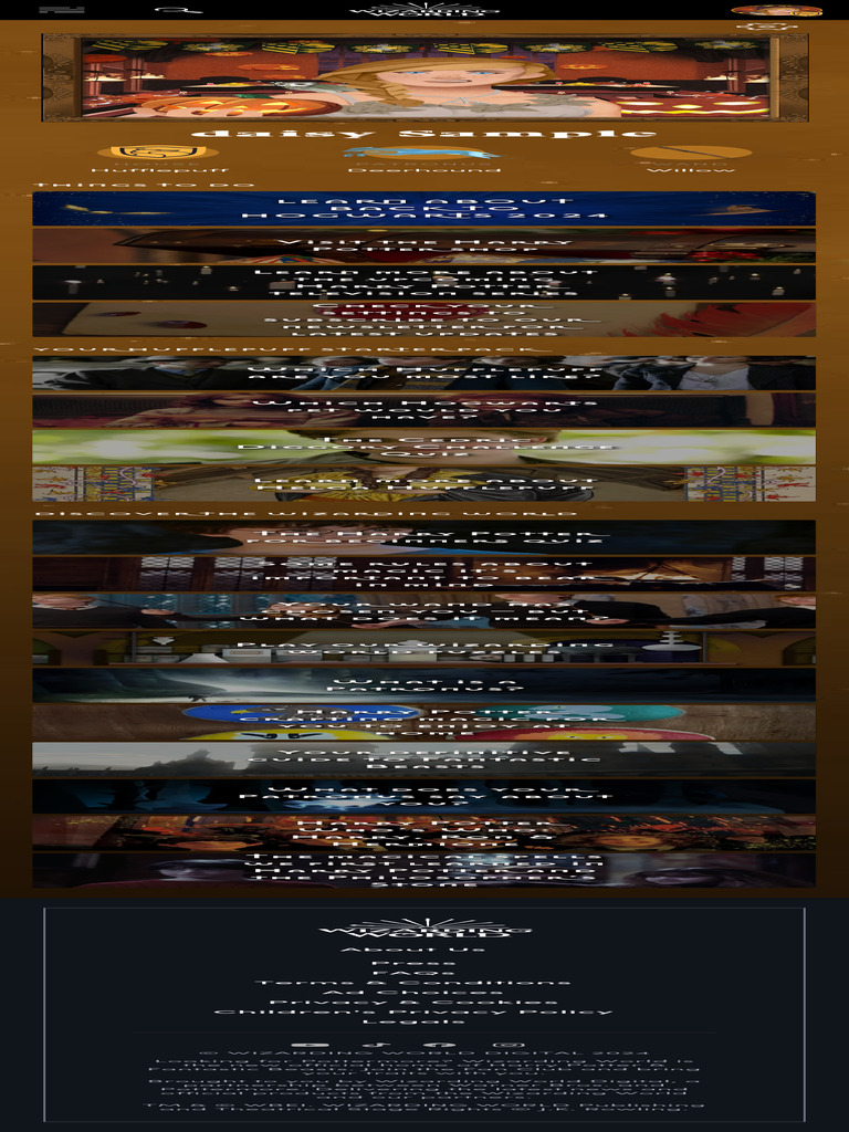 Wizarding World - Profile 4 | PDF