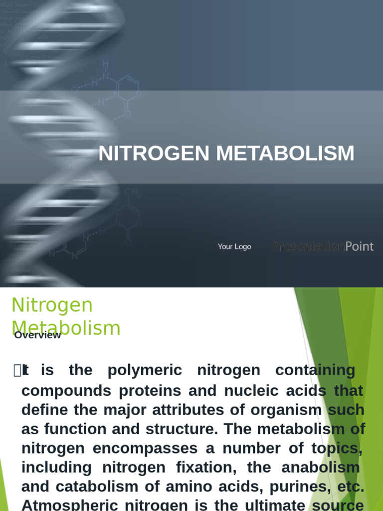 Nitrogen Metabolism | PDF