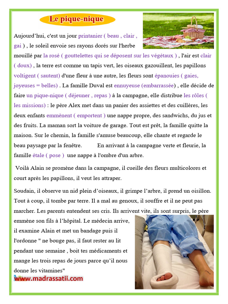 Le Pique-Nique Et L'accident D'alain Production Madrassatii Com | PDF