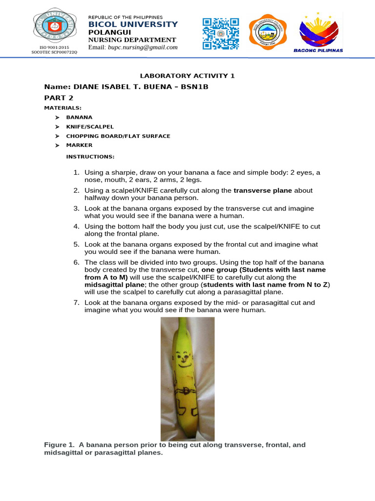 Anatomy Activity 2 | PDF