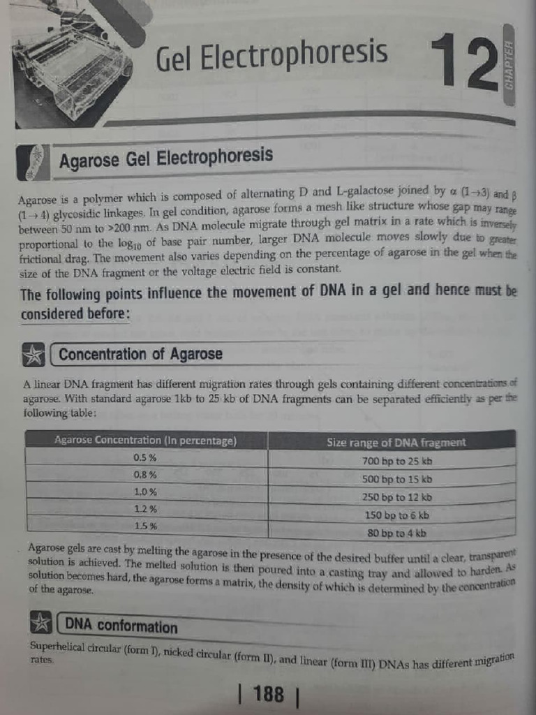 Agarose Gel Electrophoresis | PDF