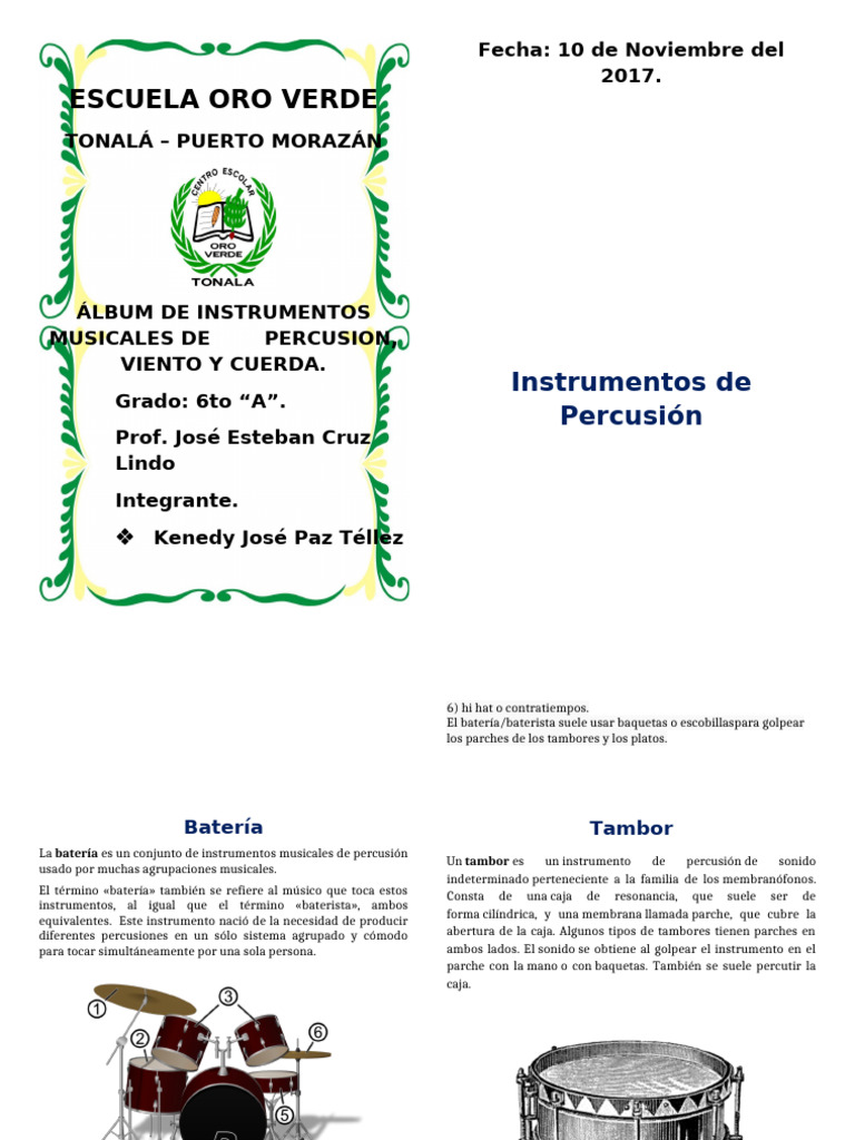 Album de Instrumentos Musicales | PDF