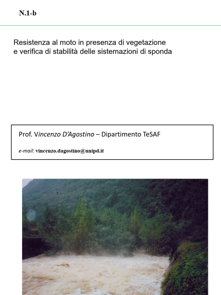 Resistenza Al Moto in Presenza Di Vegetazione e Verifica Di Stabilità Delle Sistemazioni Di ...