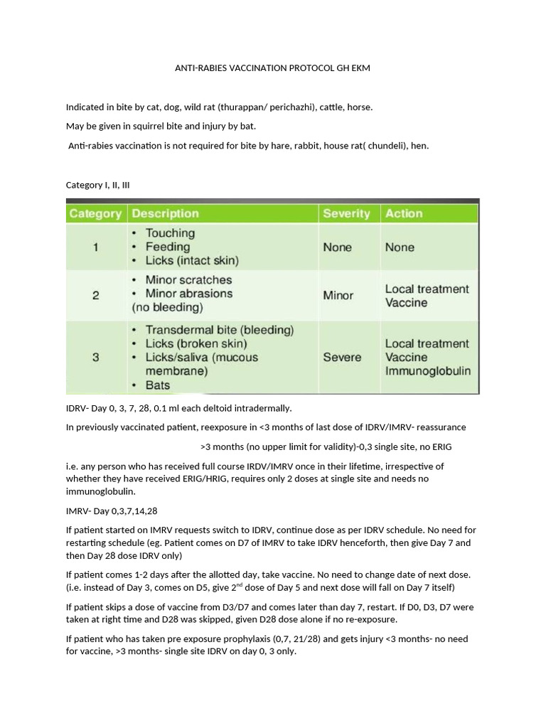Anti-Rabies Vaccination Protocol | PDF
