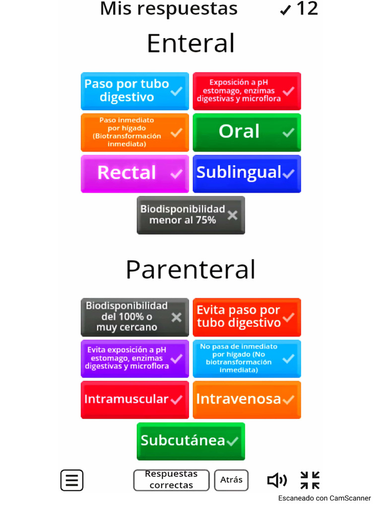 Tarea Formas Farmacológicas Sebastian | PDF
