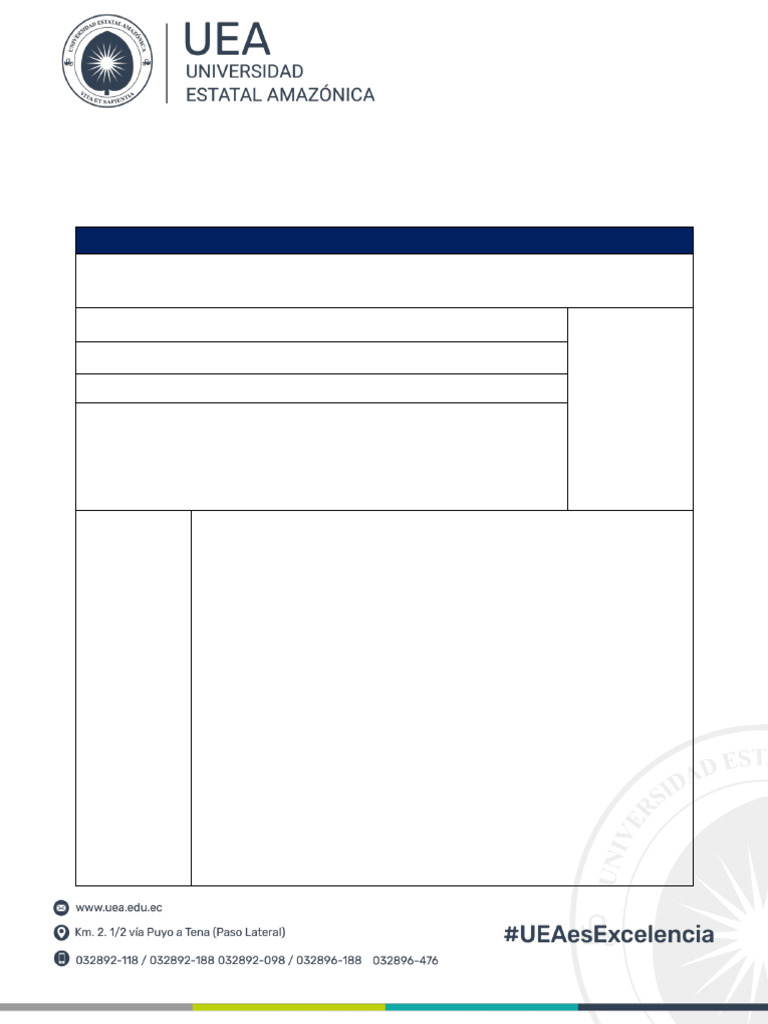 Informe Cpe Uea | PDF