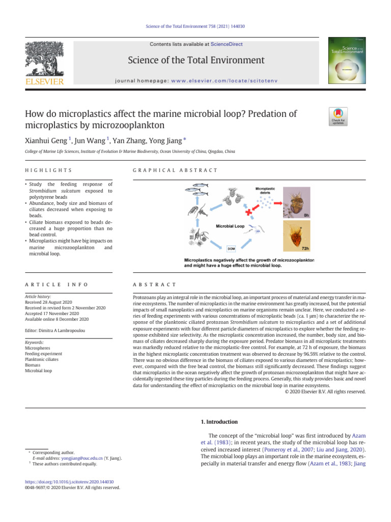 How Do Microplastics Affect The Marine Microbial Loop? | PDF