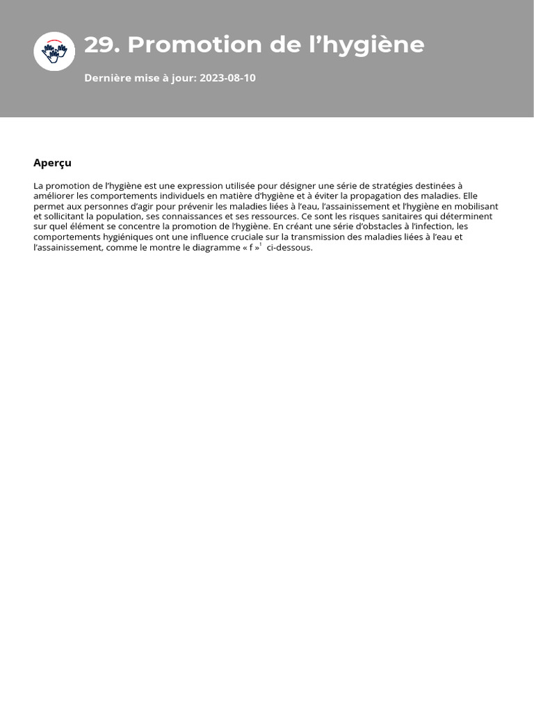 Hygiene Promotion | PDF