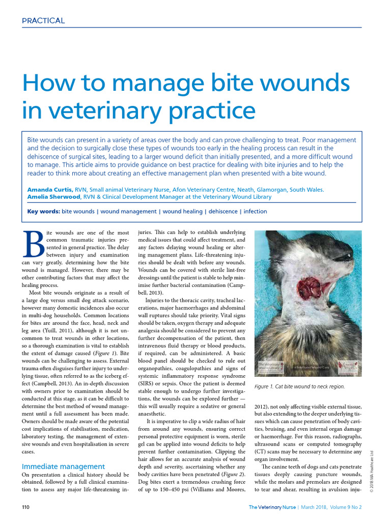How To Manage Bite Wounds in Veterinary Practice 2018 | PDF