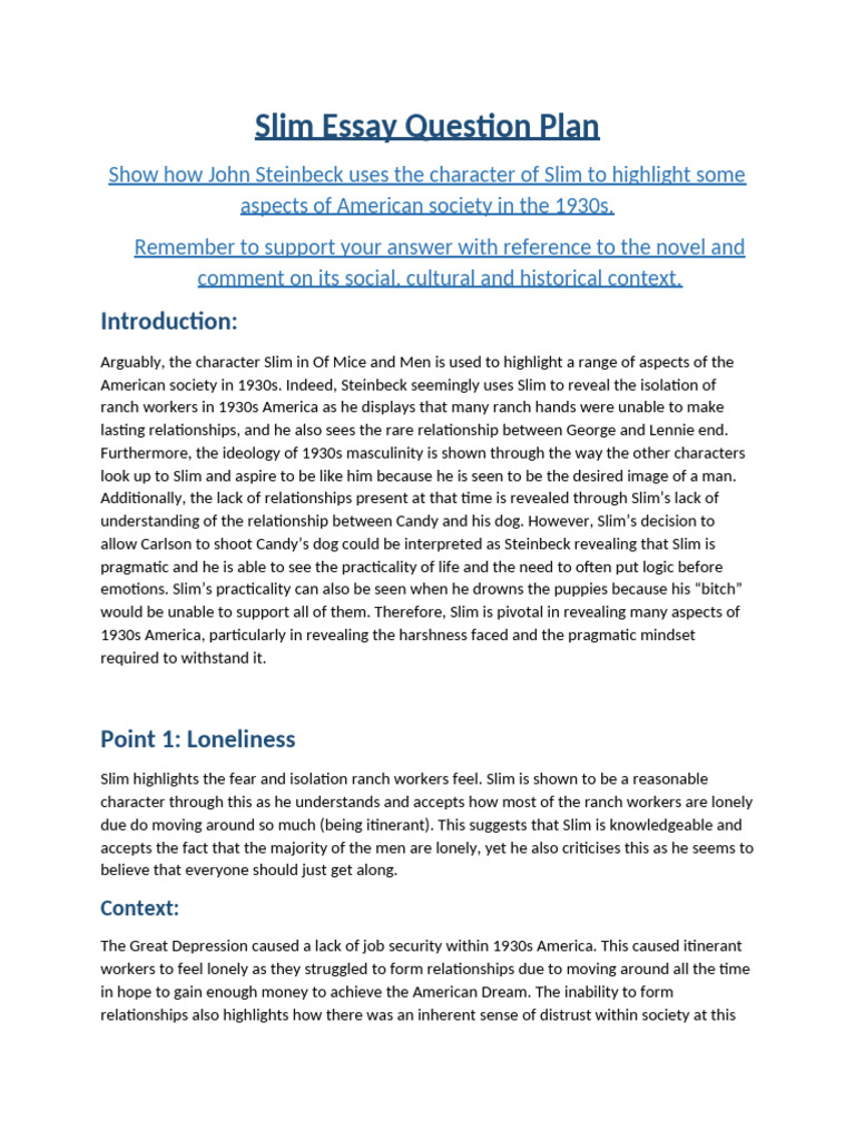 Slim Essay Plan Outline | PDF