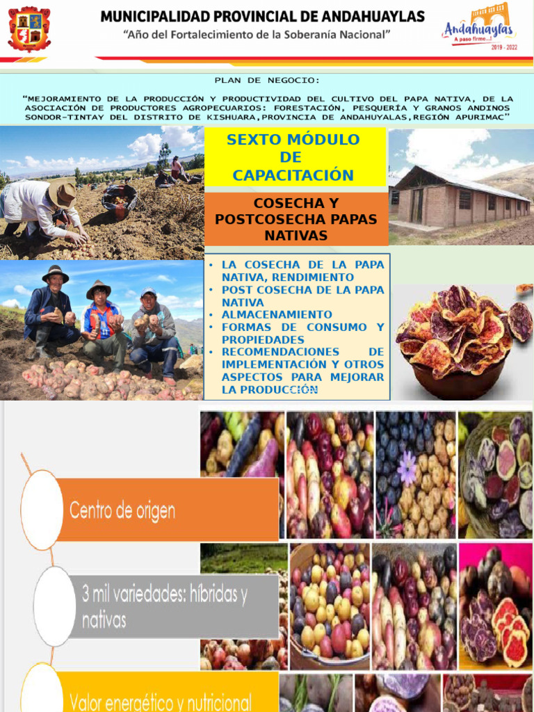 Cosecha y Post Cosecha | PDF