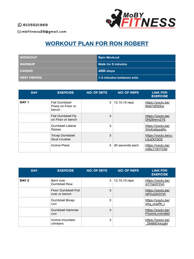 RON Level 1.0 Workout | PDF