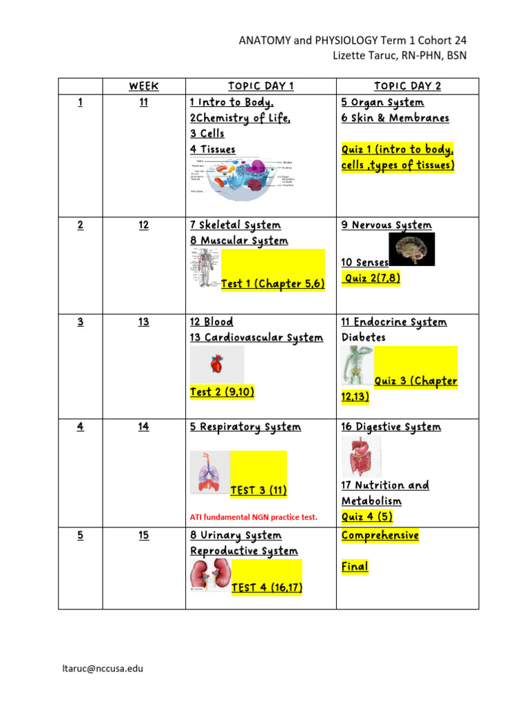 Anatomy+and+Physiology+Term+1+Calendar+c24 | PDF