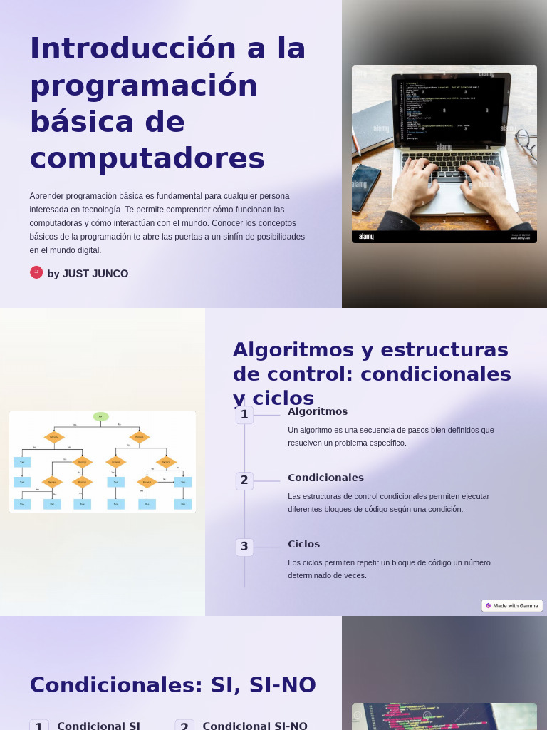 Introduccion A La Programacion Basica de Computadores | PDF