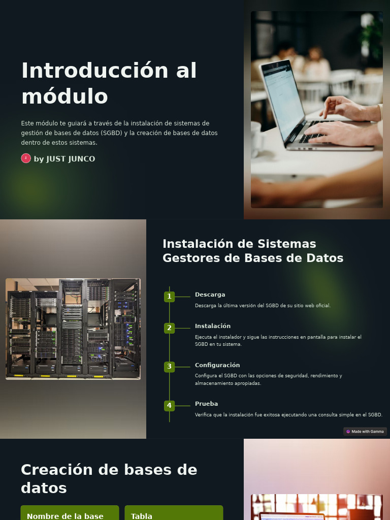 Introduccion Al Modulo | PDF | Bases de datos | Negocios