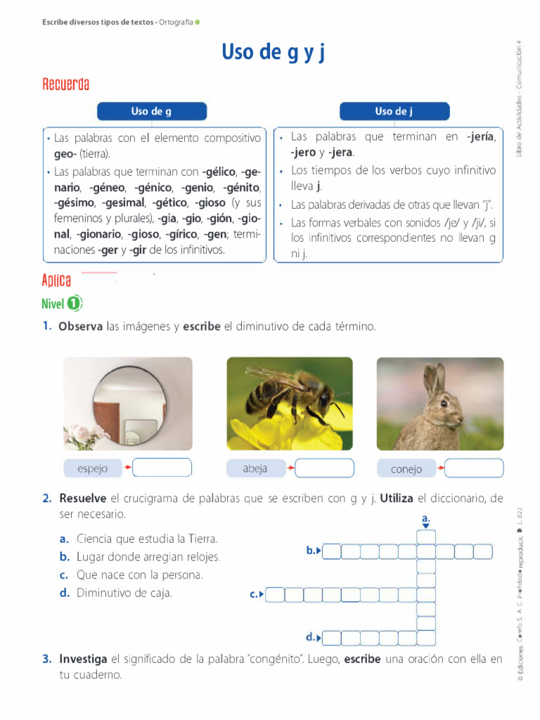 Ortografía: Uso de G y J en Español | PDF