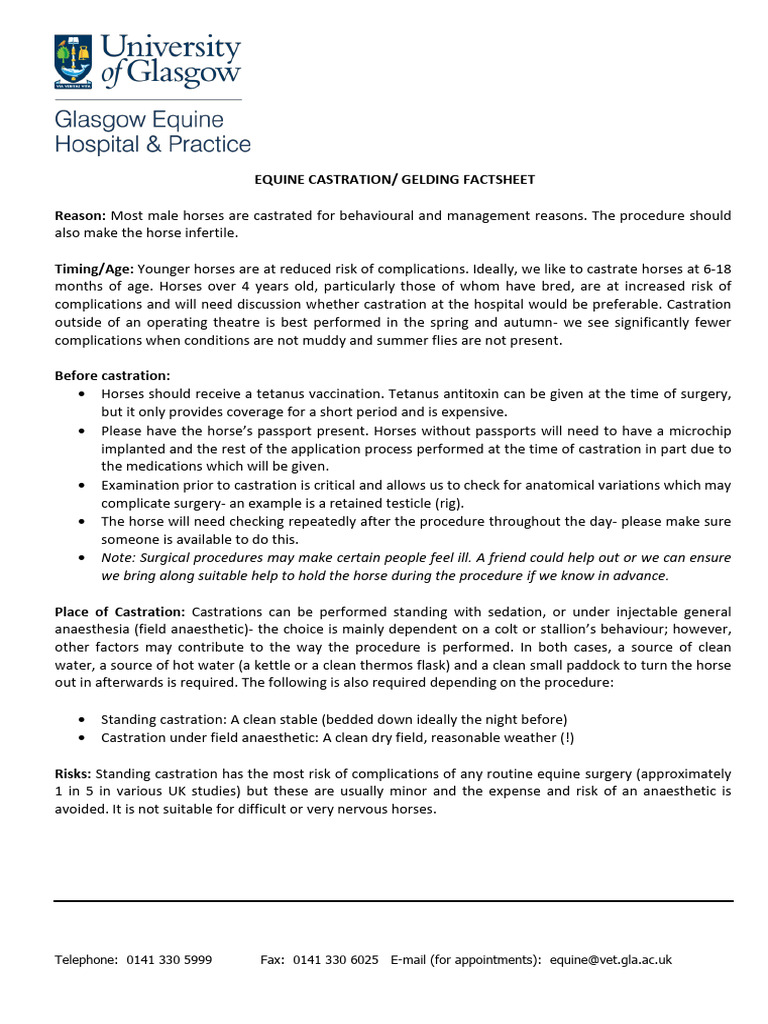 Castration Client Factsheet Practice | PDF
