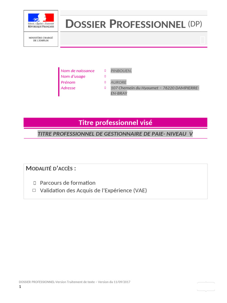 Dossier Professionnel Aurore | PDF