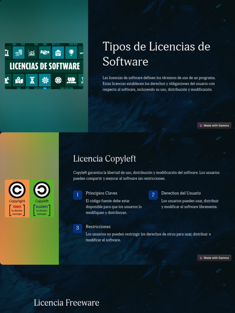 Tipos-de-Licencias-de-Software | PDF