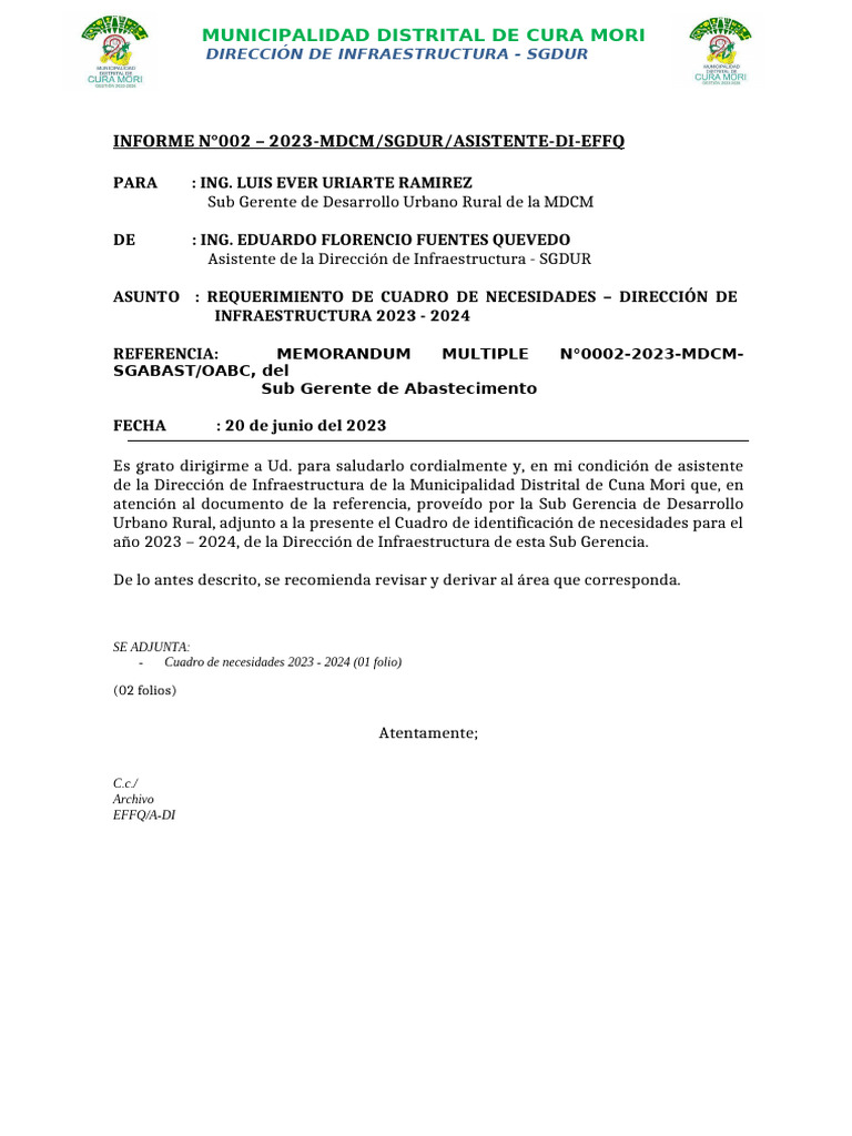 Informe N°002 - Req. de Cuadro de Necesidades | PDF