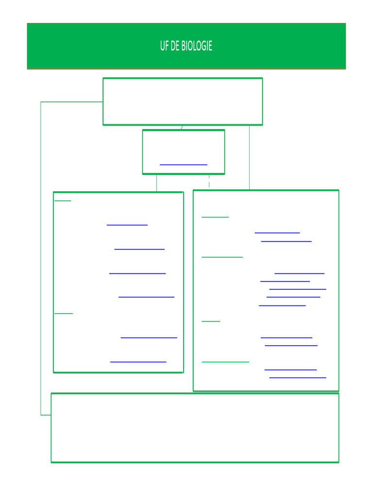 Organigramme UF 300819 | PDF