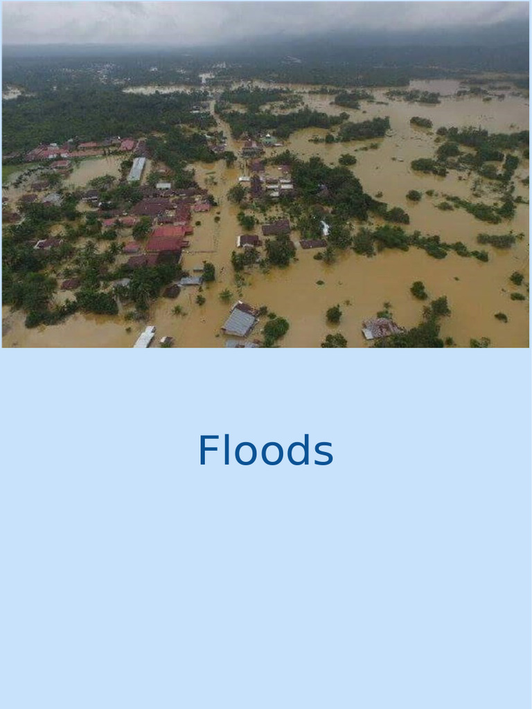 1 Natural Disasters | PDF