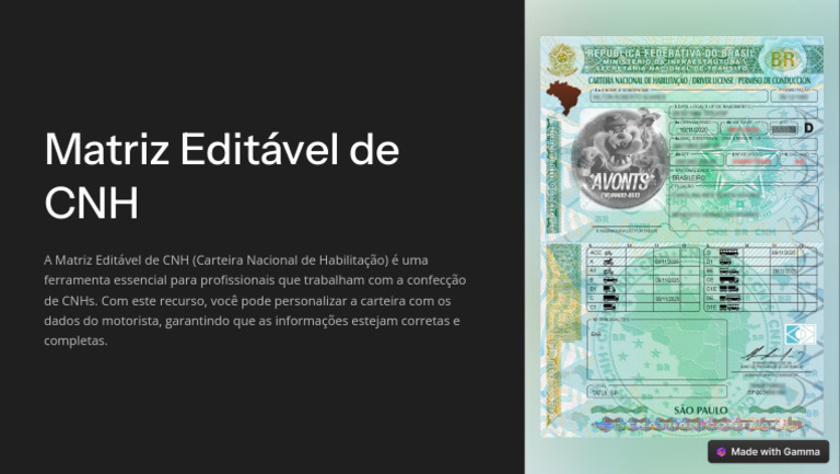Editavel CNH 2023/2025 | PDF