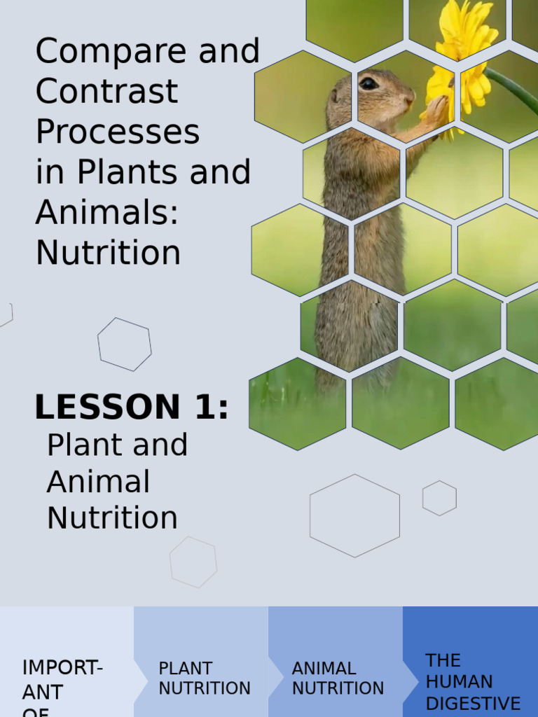 GENERAL BIOLOGY 2^^.MODULE 1 REPORT | PDF