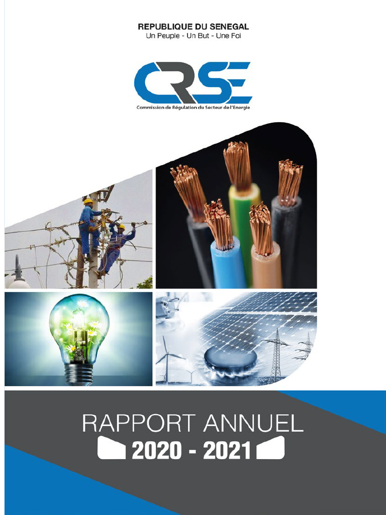 Rapport Annuel CRSE 2020-2021 | PDF
